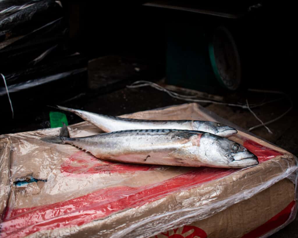 Carton of Original Titus- 20kg – Odnaworld