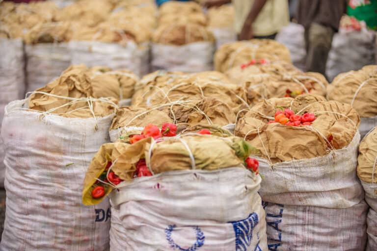 Medium bag of scotch bonnet pepper/Rodo – Odnaworld