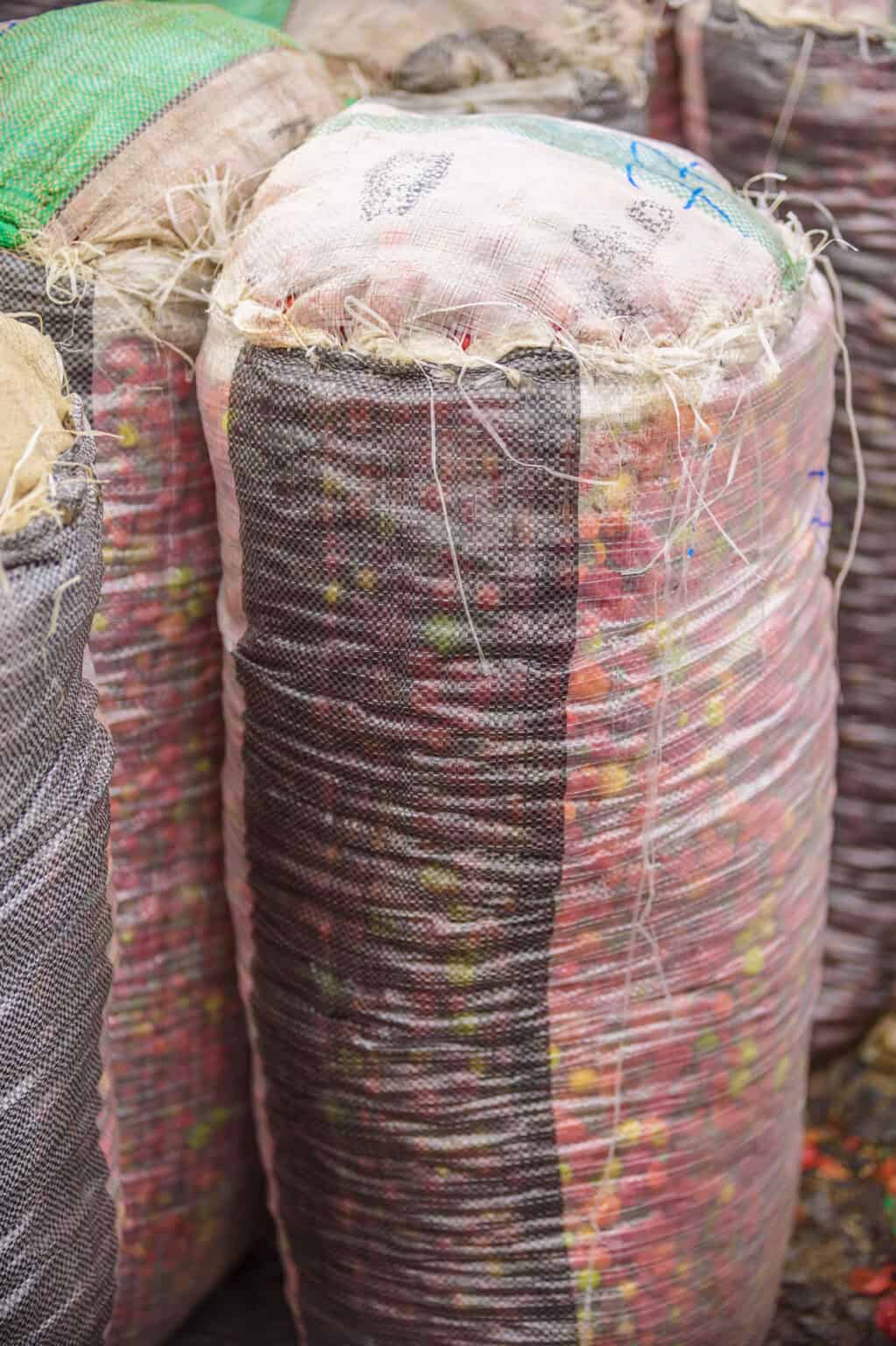 Big bag of scotch bonnet pepper/Rodo – Odnaworld